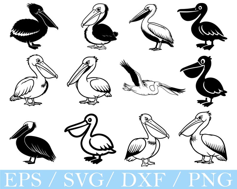 Pelican Silhouette Vector Art: Bird Svg, Png, Dxf Files (digital ...