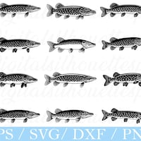 Pike 676P Vector Eps / Ai / Svg / Dxf / Jpeg / Pdf / Png Fish Fishing ...