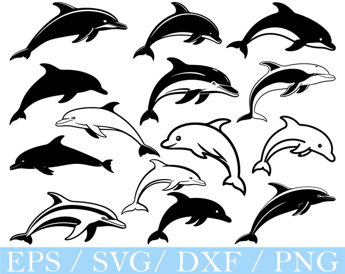 Dolphin SVG, Dolphin Svg Bundle, Dolphin Clipart, Dolphin Png, Dolphin ...