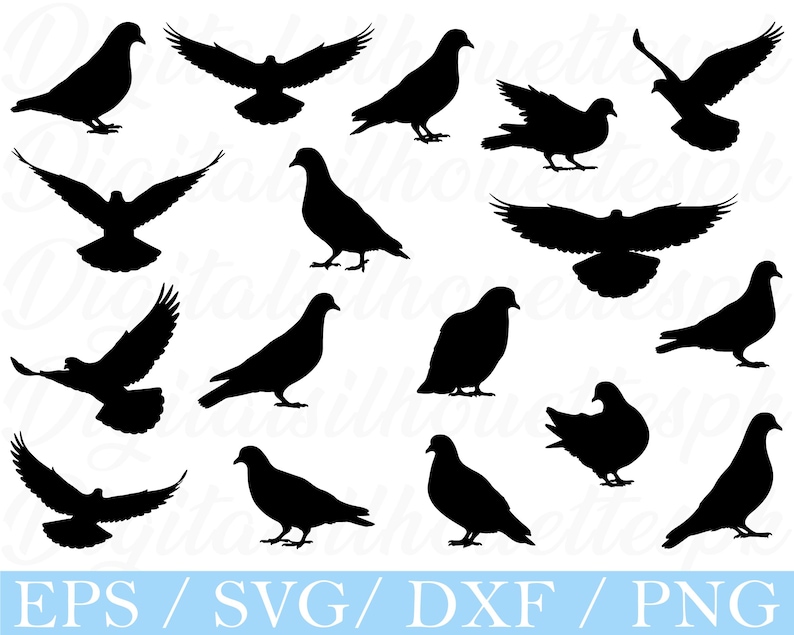 Pigeons Svg, Pigeon Silhouette, Dxf, Png - Etsy