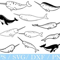 Narwhal Outline SVG Files - Vector Images Clipart -narwhale SVG File ...