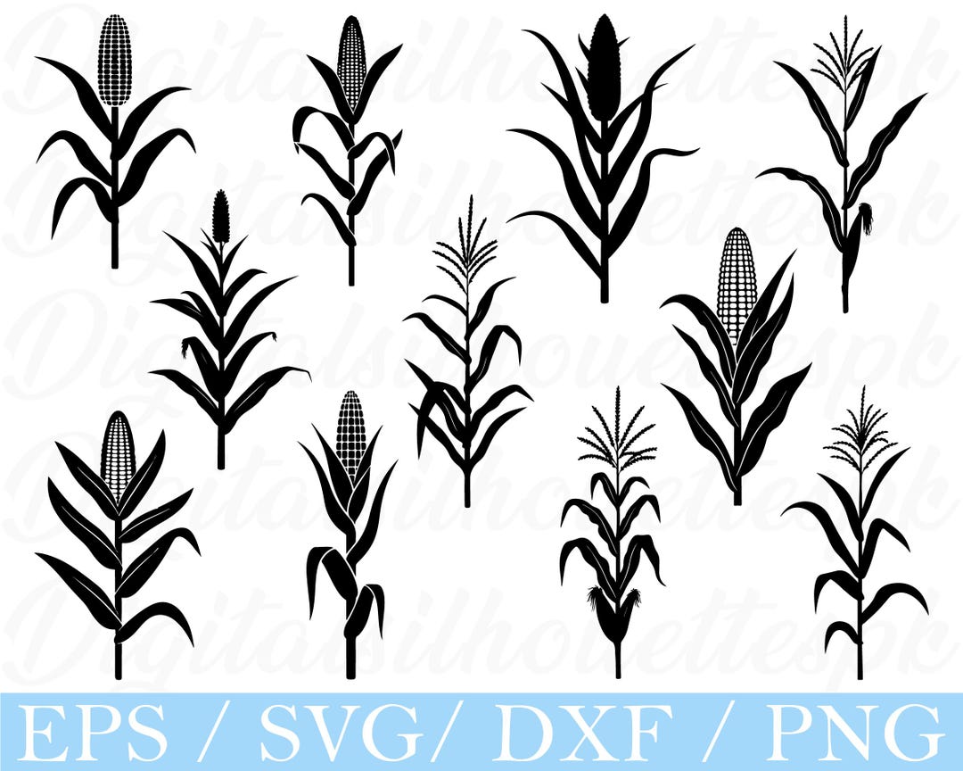 Corn Stalk Svg, Corn Stalk Silhouette, Corn Stalk Cut File, Dxf, Png - Etsy