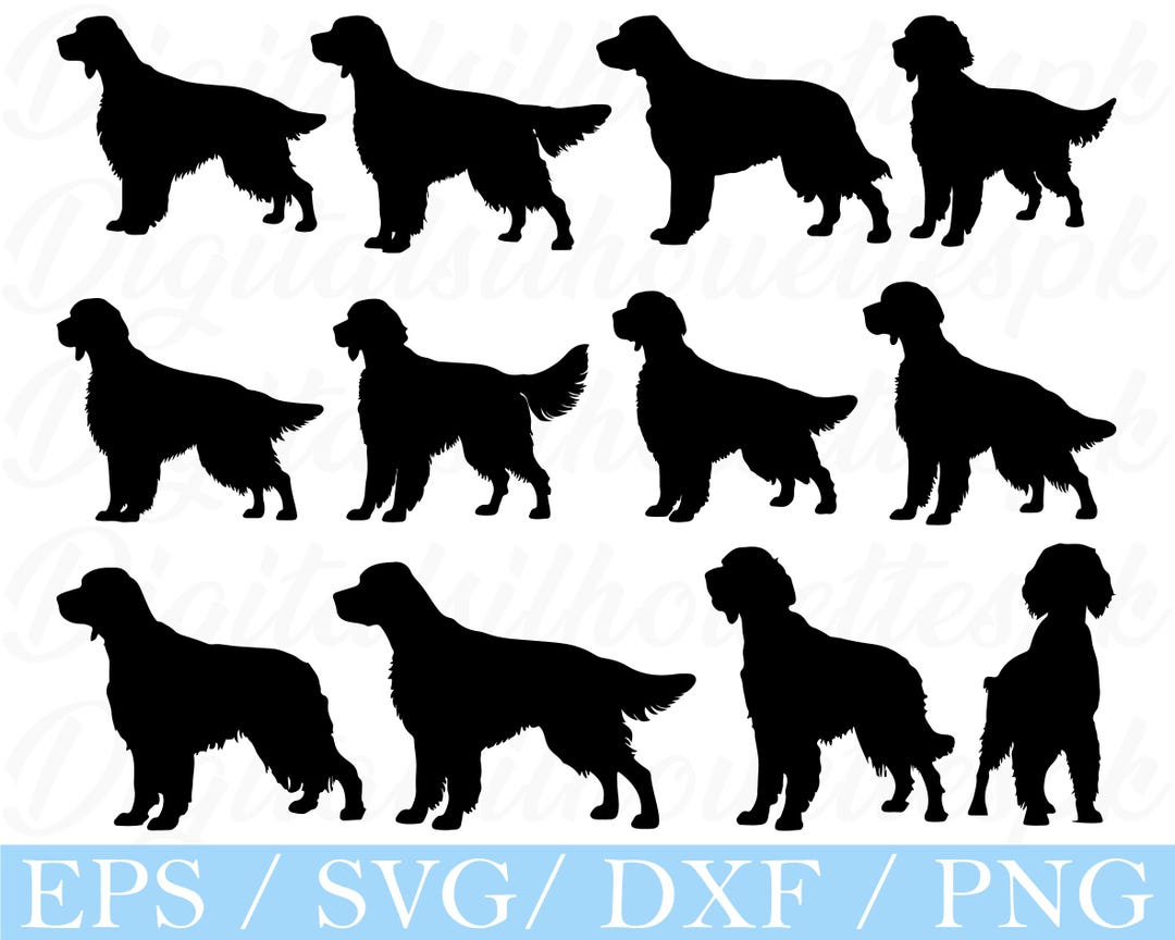 English Springer Spaniel Dog Svg, English Spaniel Dog Silhouette, Dxf ...