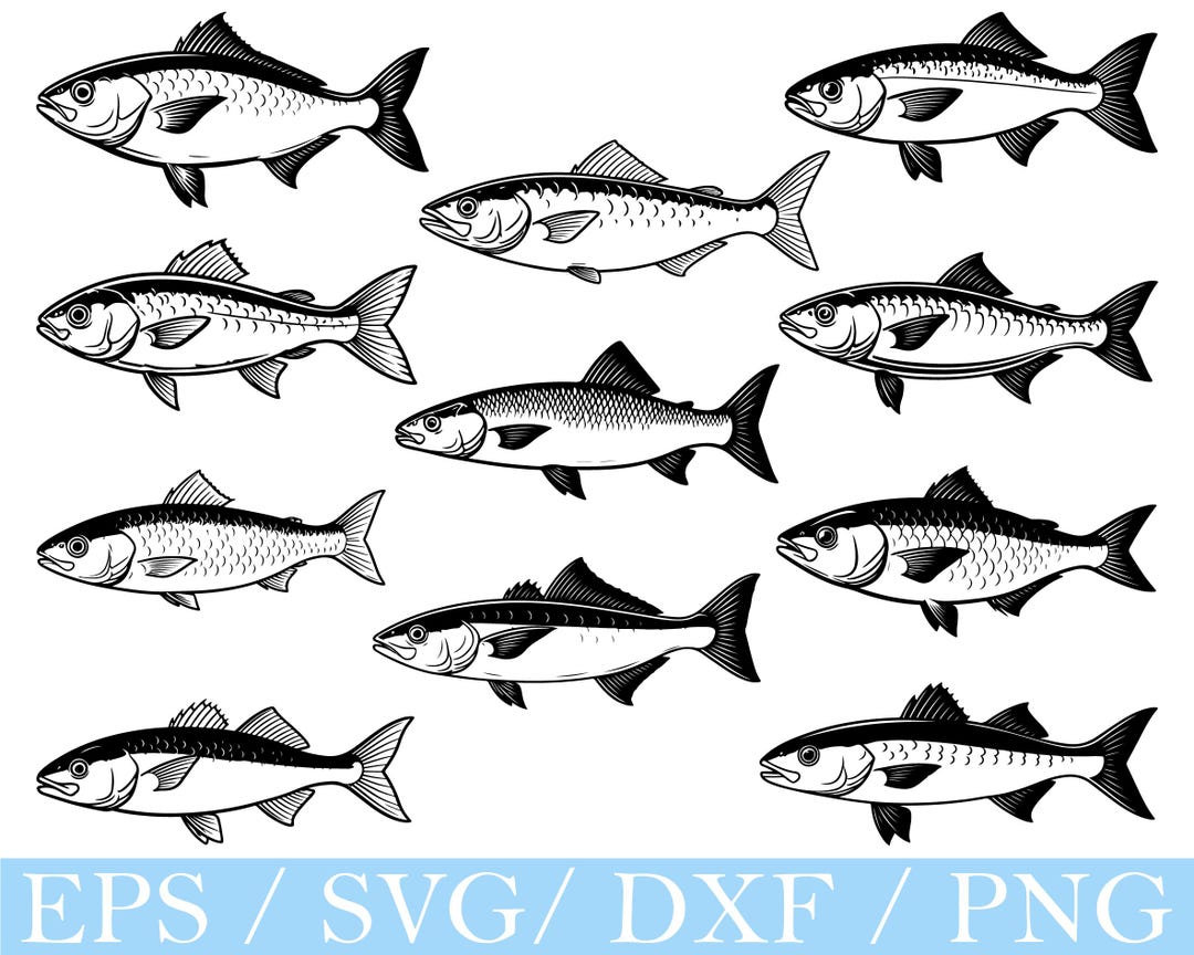 Mullet Fish Svg, Mullet Fish Silhouette, Mullet Fish Vector, Fishes Cut ...