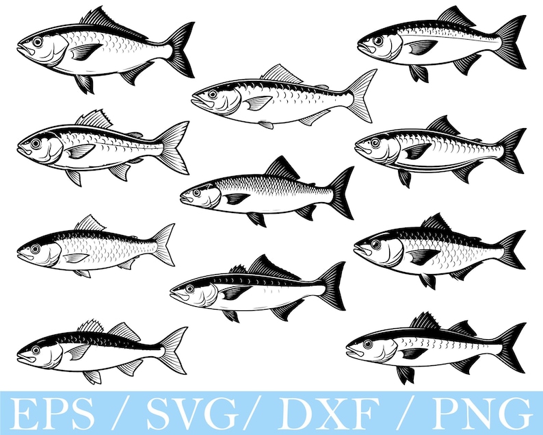 Mullet Fish Svg, Mullet Fish Silhouette, Mullet Fish Vector, Fishes Cut ...