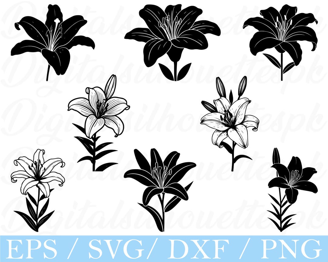 Lily Flower Svg, Lily Flower Silhouette, Dxf, Png - Etsy