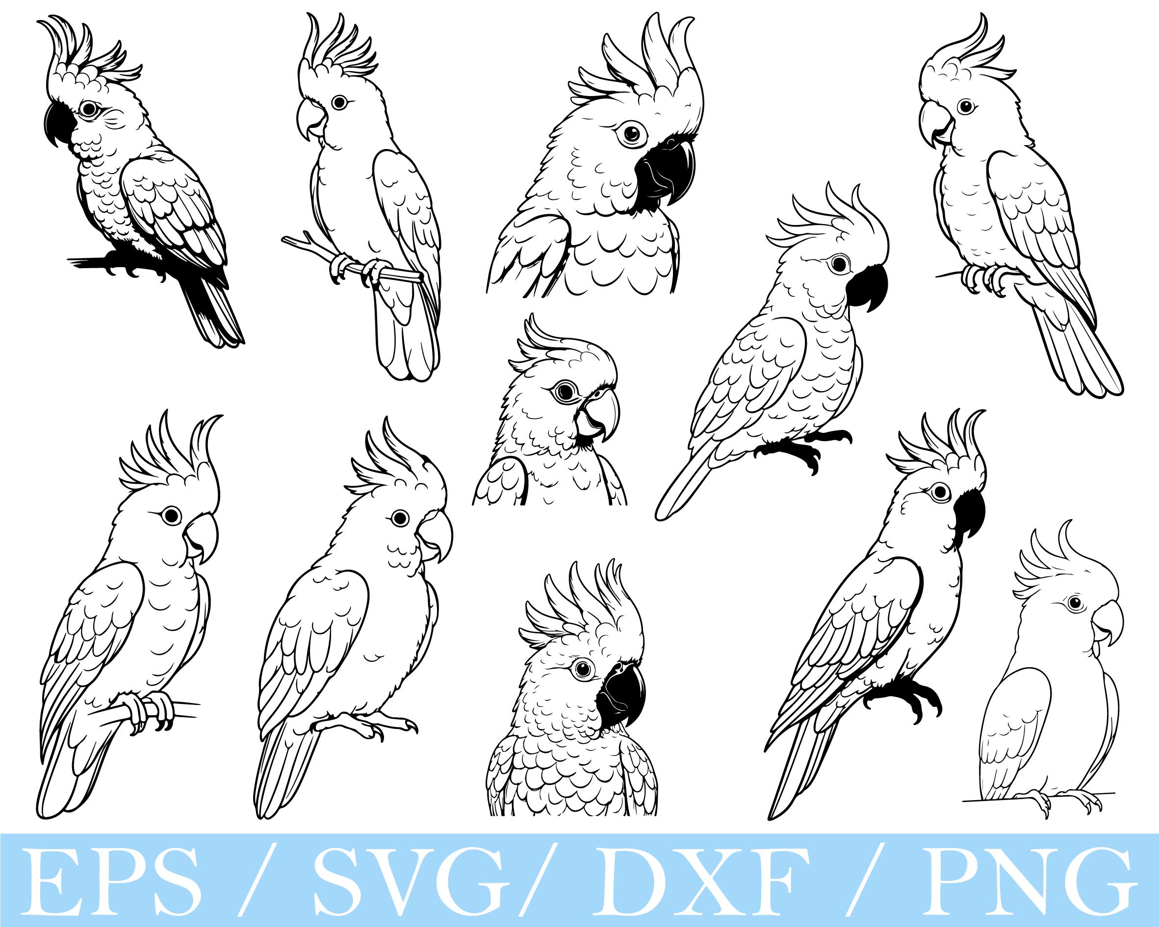 Cockatoo Bird SVG: Parrot Silhouette Cut File (digital Download) - Etsy