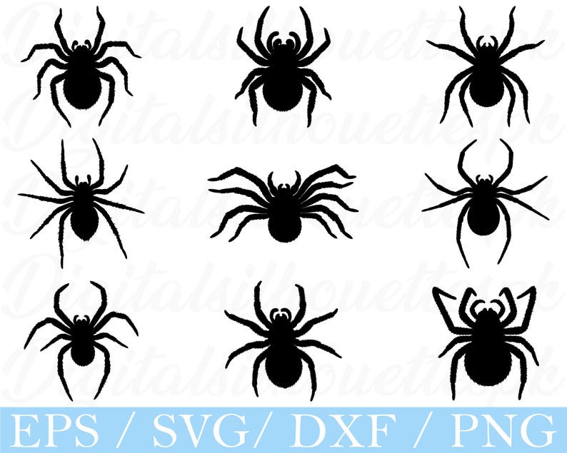Spider Svg, Spider Silhouette, Dxf, Png - Etsy