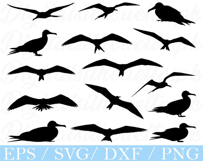 3 Iwa Birds in Flight SVG - Iwa Bird SVG - Bird Silhouette SVG - Hawaii ...