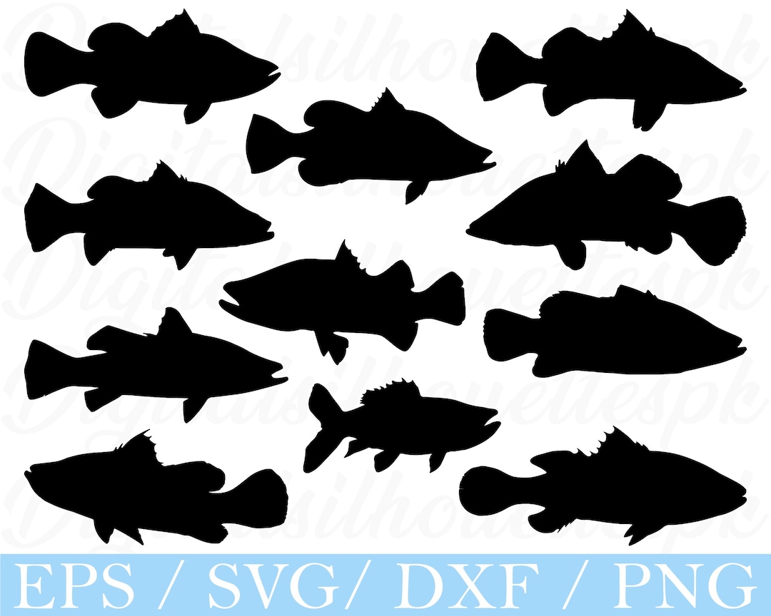 Barramundi Fish Svg, Barramundi Fish Silhouette, Dxf, Png - Etsy