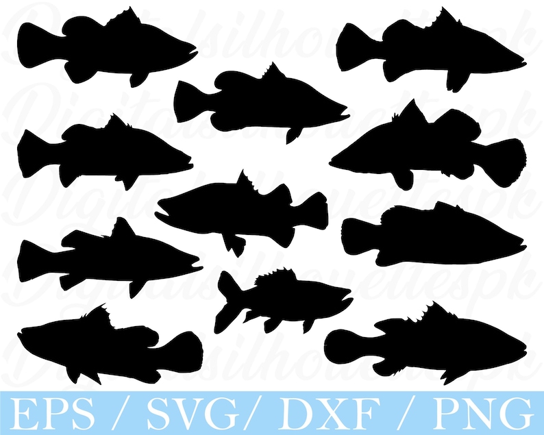 Barramundi Fish Svg, Barramundi Fish Silhouette, Dxf, Png - Etsy