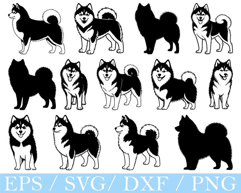 Pomsky Dog Silhouette Vector, Clipart Graphics (digital Download) - Etsy