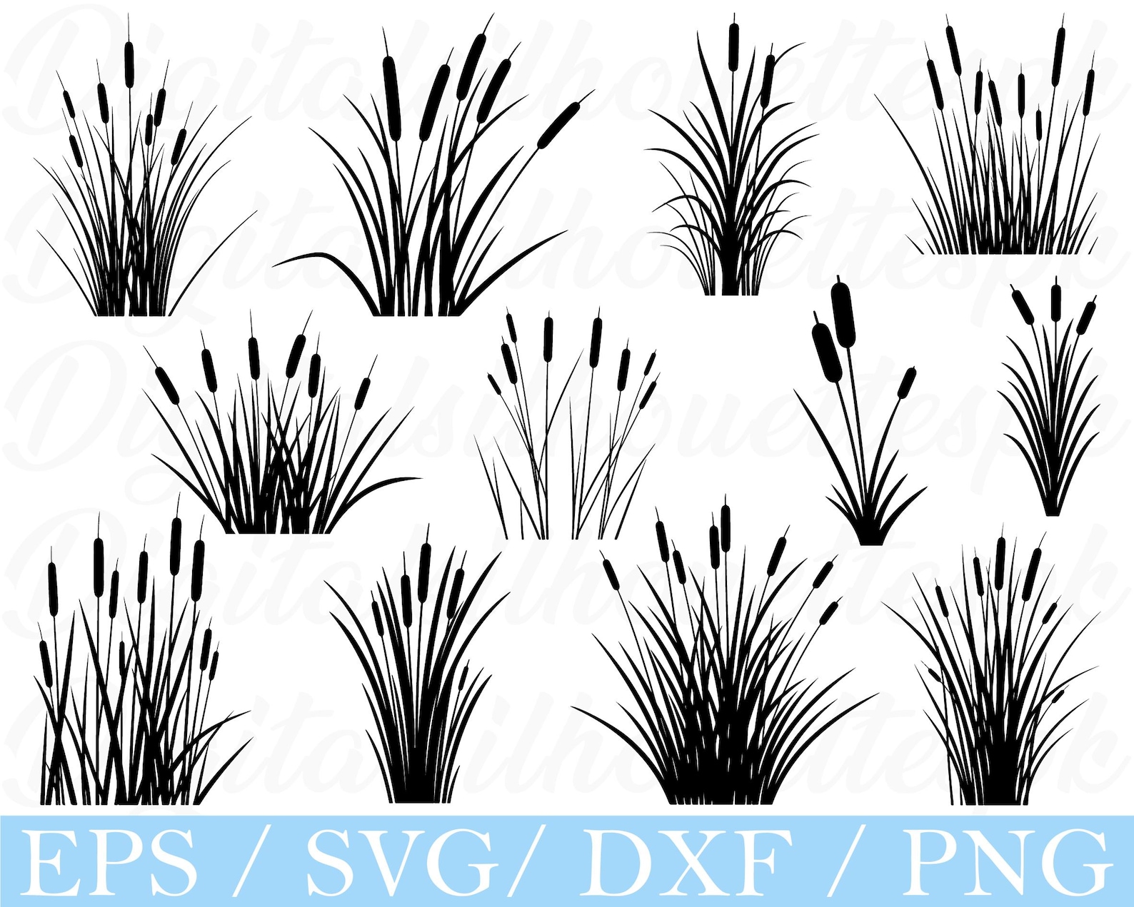 Reed Grass Svg, Reed Silhouette, Reed Cut File, Dxf, Png - Etsy