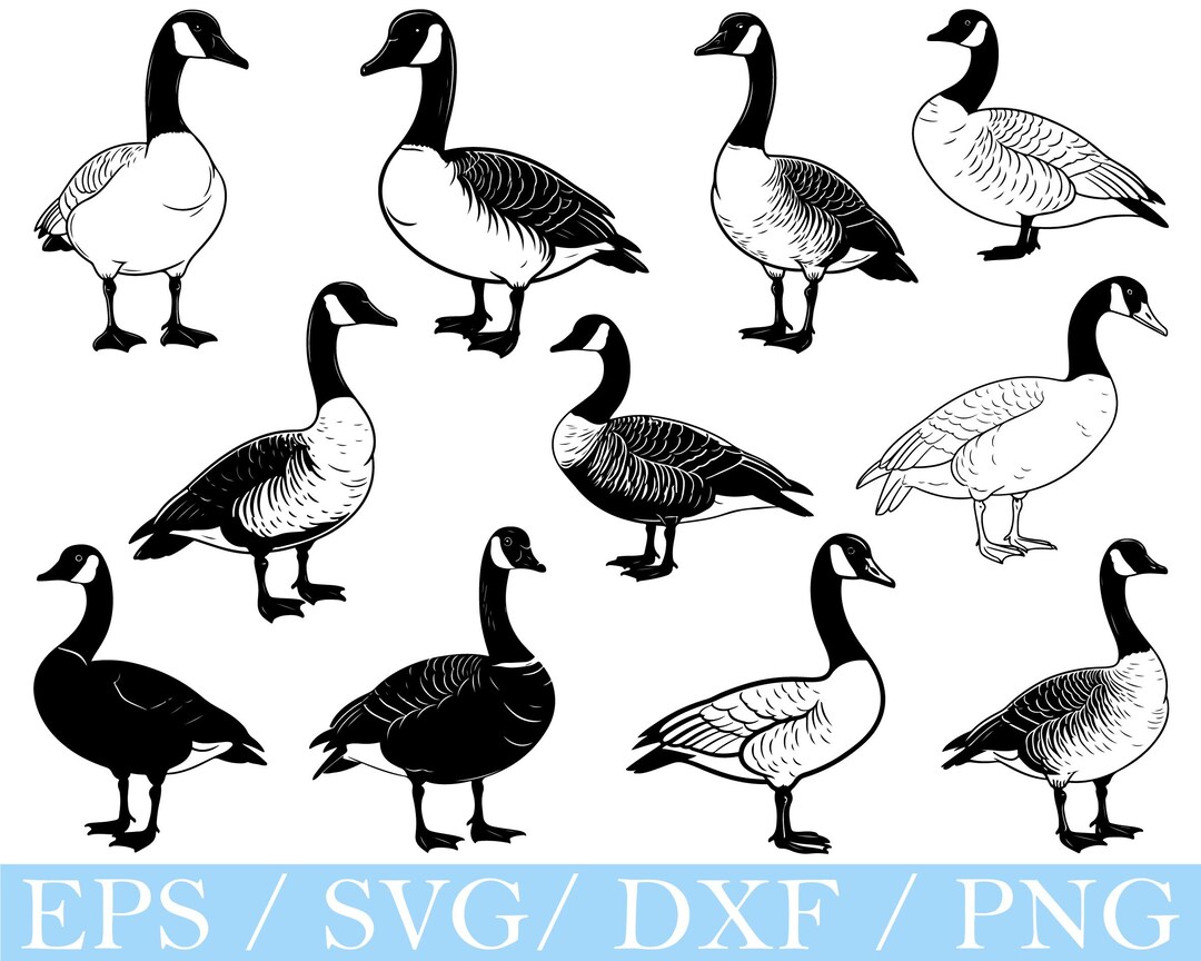 Canadian Goose SVG: Silhouette Vector Graphics (digital Download) - Etsy
