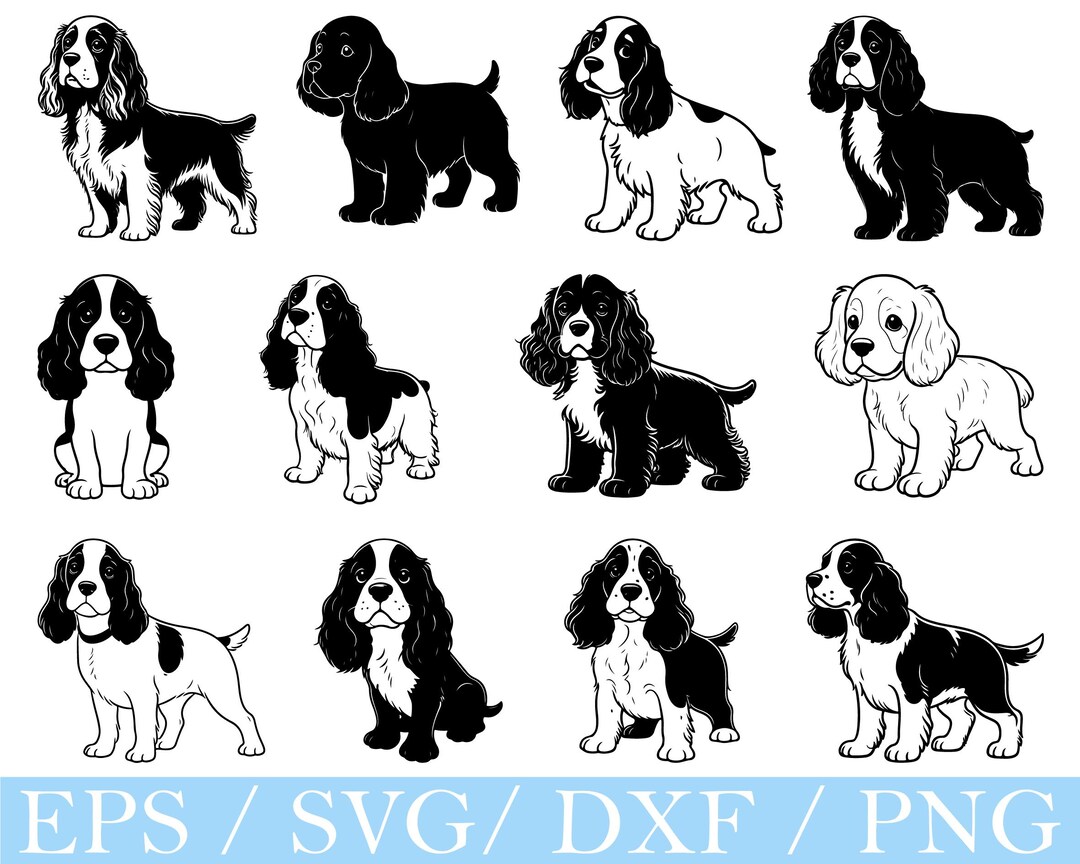 Cute Boykin Spaniel Dog Svg, Boykin Spaniel Dog Silhouette, Boykin Dog ...
