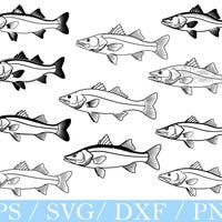 Snook Fish Vector Art: Graphic Image (digital Download) - Etsy
