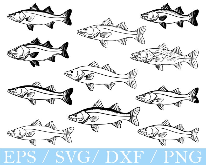Snook Fish Svg, Snook Fish Silhouette, Snook Fish Vector, Dxf, Png - Etsy