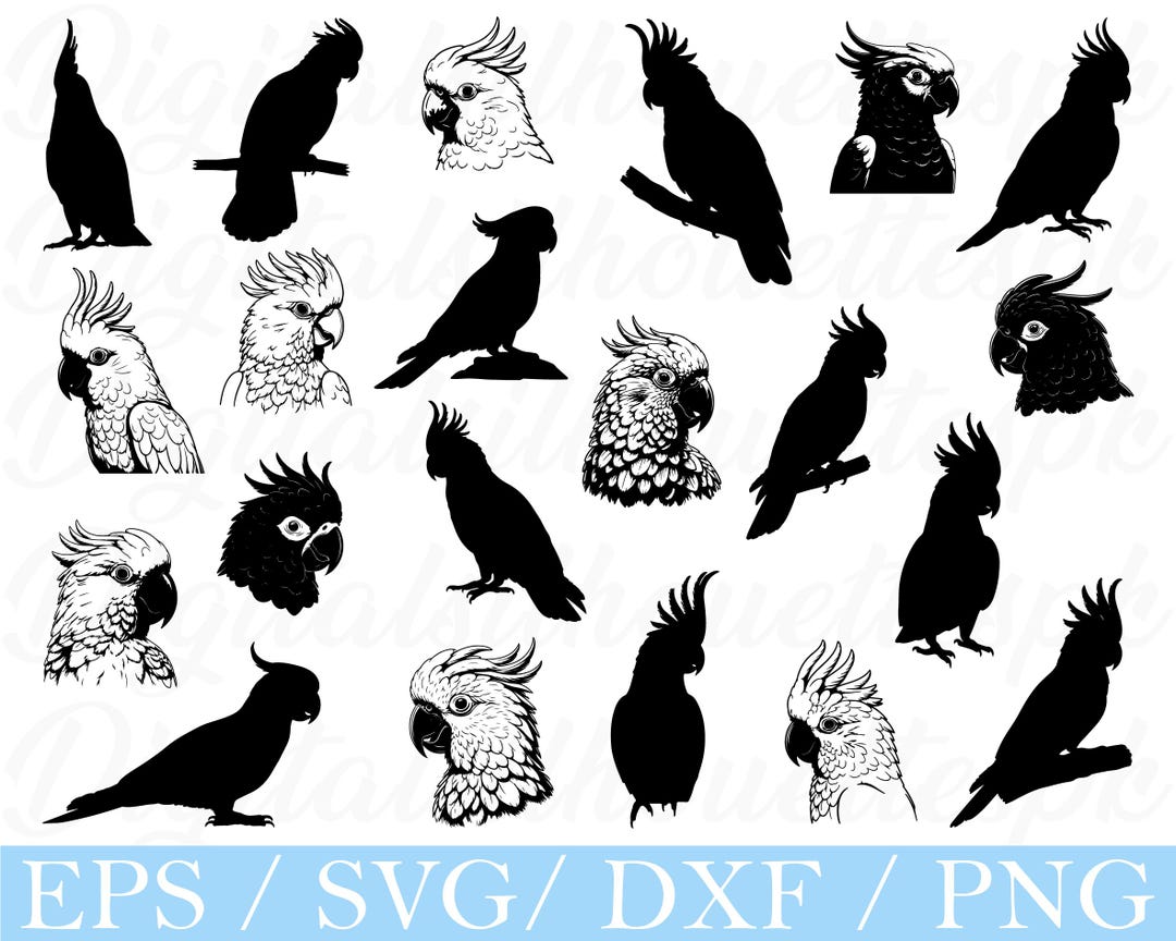 Cockatoo Bird Svg, Cockatoo Silhouette, Dxf, Png - Etsy