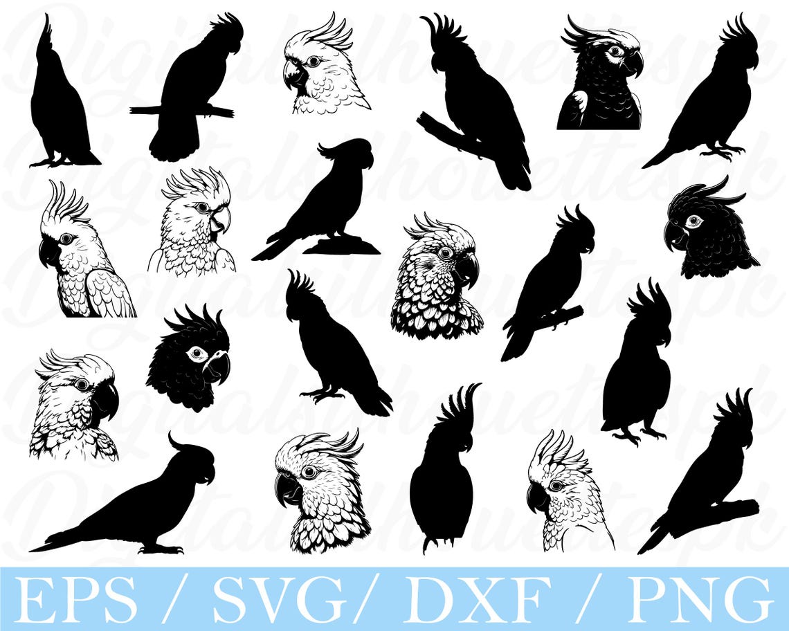 Cockatoo Bird Svg, Cockatoo Silhouette, Dxf, Png - Etsy