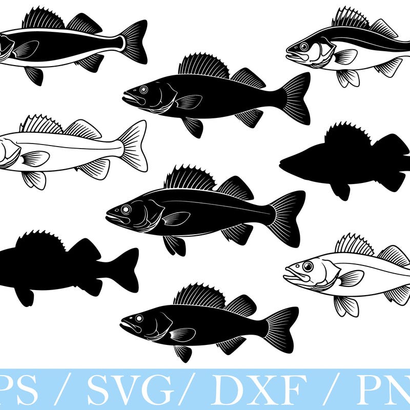 Svg of Walleye - Etsy