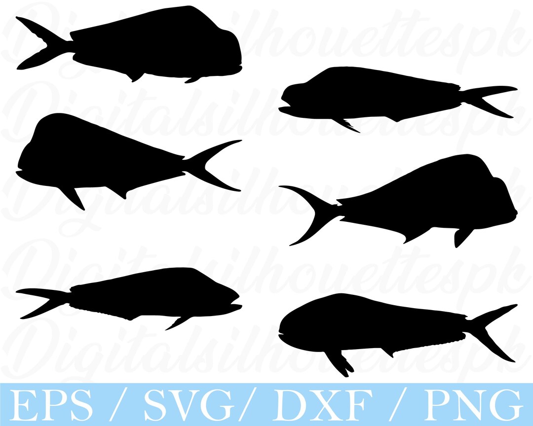 Mahi Mahi Fish Silhouette, Mahi Mahi Fish Silhouette, Dxf, Png - Etsy