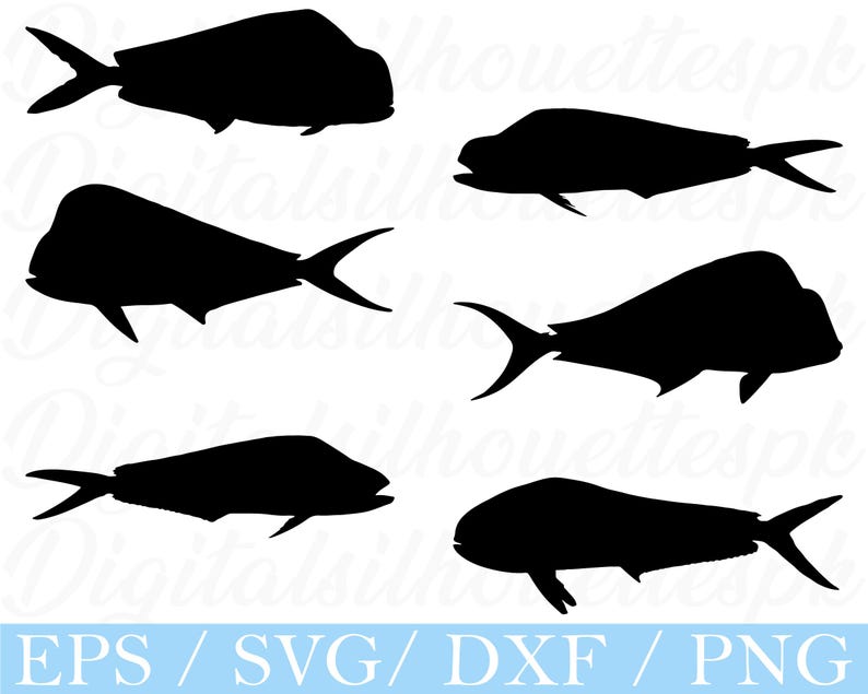 Mahi Mahi Fish Silhouette, Mahi Mahi Fish Silhouette, Dxf, Png - Etsy