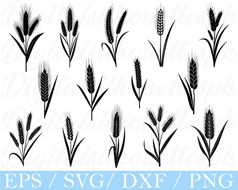 Wheat Plant Silhouette: SVG, PNG, DXF Cut Files (digital Download) - Etsy
