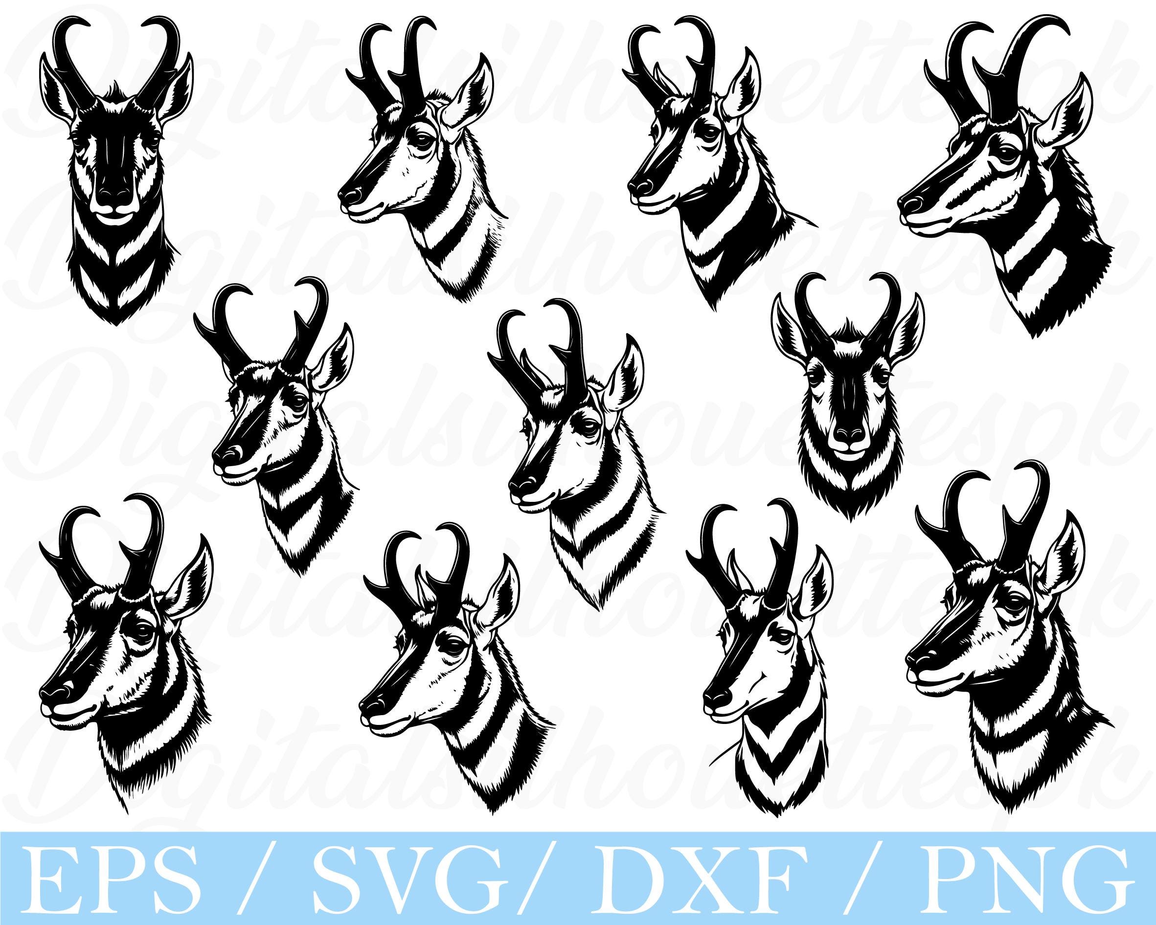 Pronghorn Antelope Head Silhouette: SVG, PNG, DXF Files (digital ...