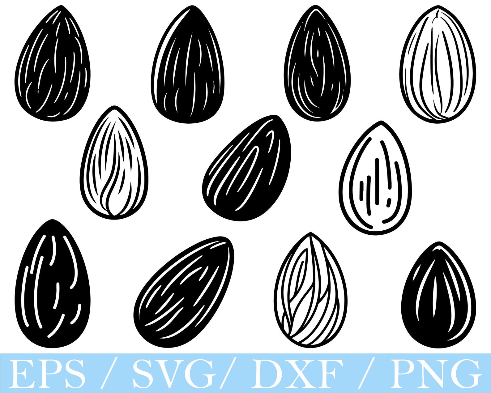 Almond Svg, Almond Silhouette, Almond Cut File, Almond Vector, Dxf, Png ...