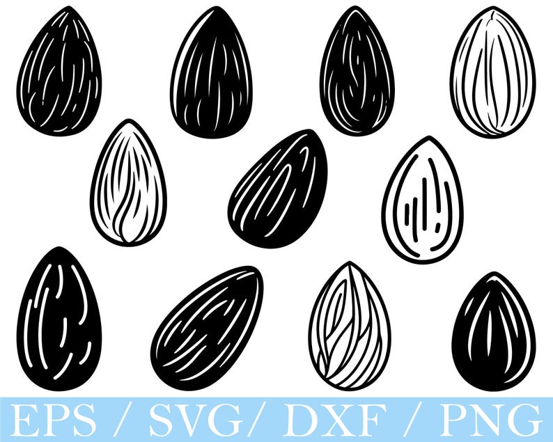 Almond Svg, Almond Silhouette, Almond Cut File, Almond Vector, Dxf, Png ...