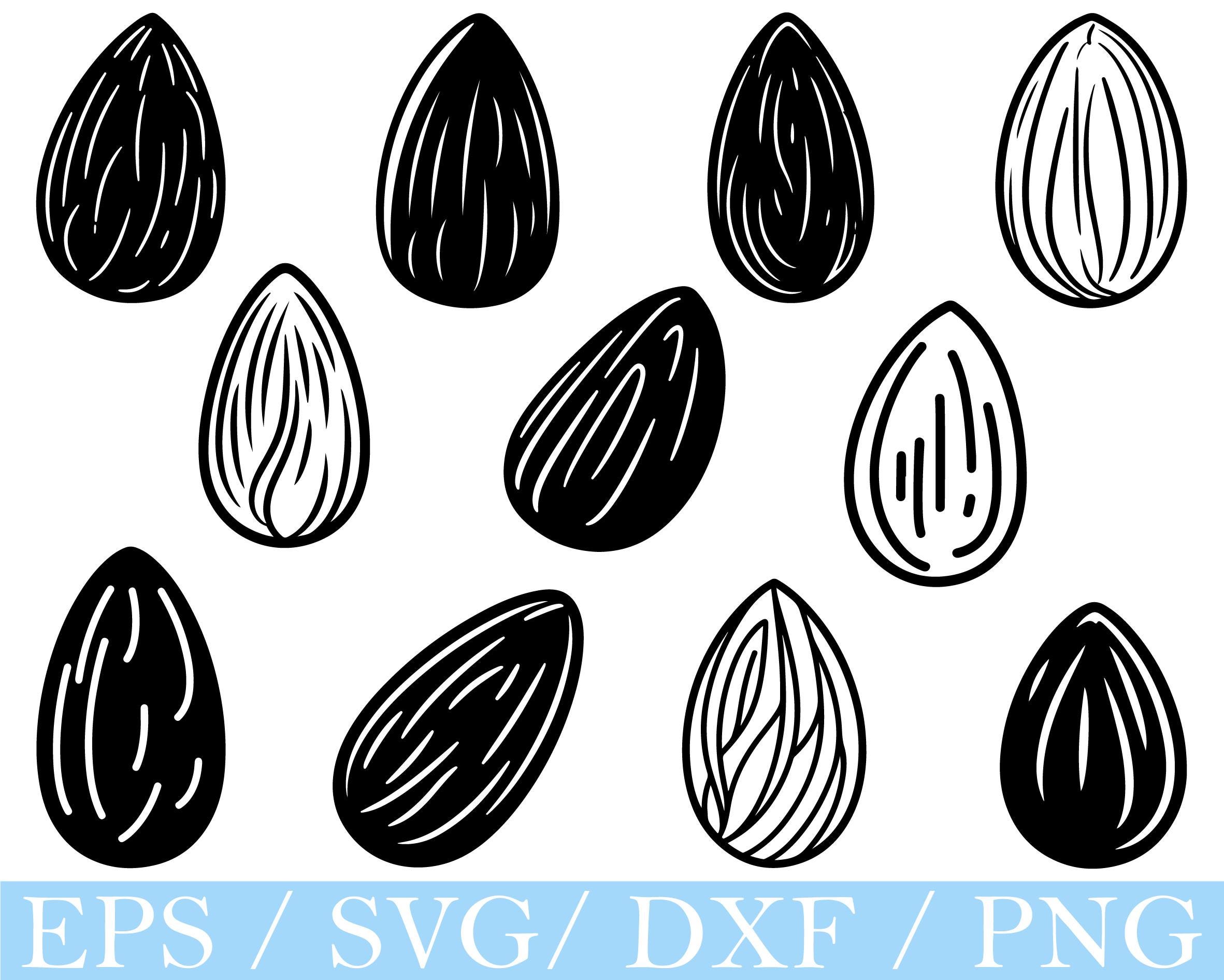 Almond Svg, Almond Silhouette, Almond Cut File, Almond Vector, Dxf, Png ...