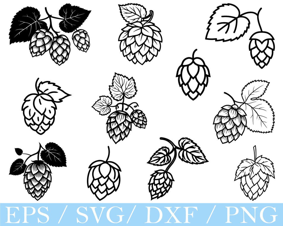 Hops Svg, Hops Silhouette, Hops Vector, Dxf, Png - Etsy