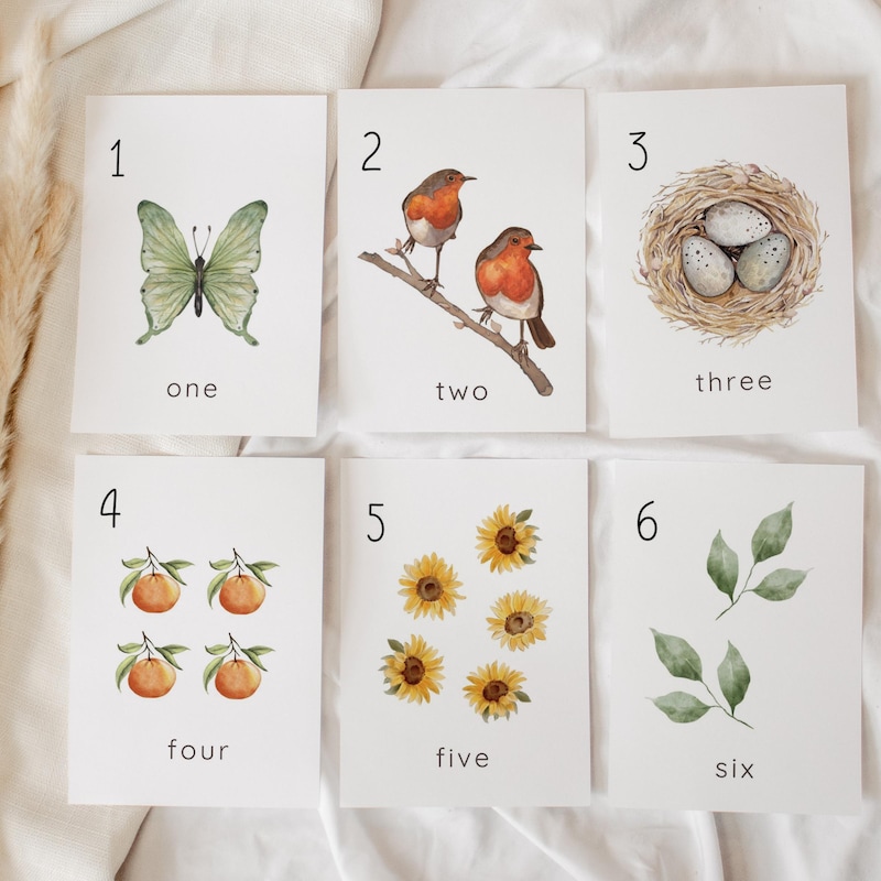 Number Flash Cards - Etsy