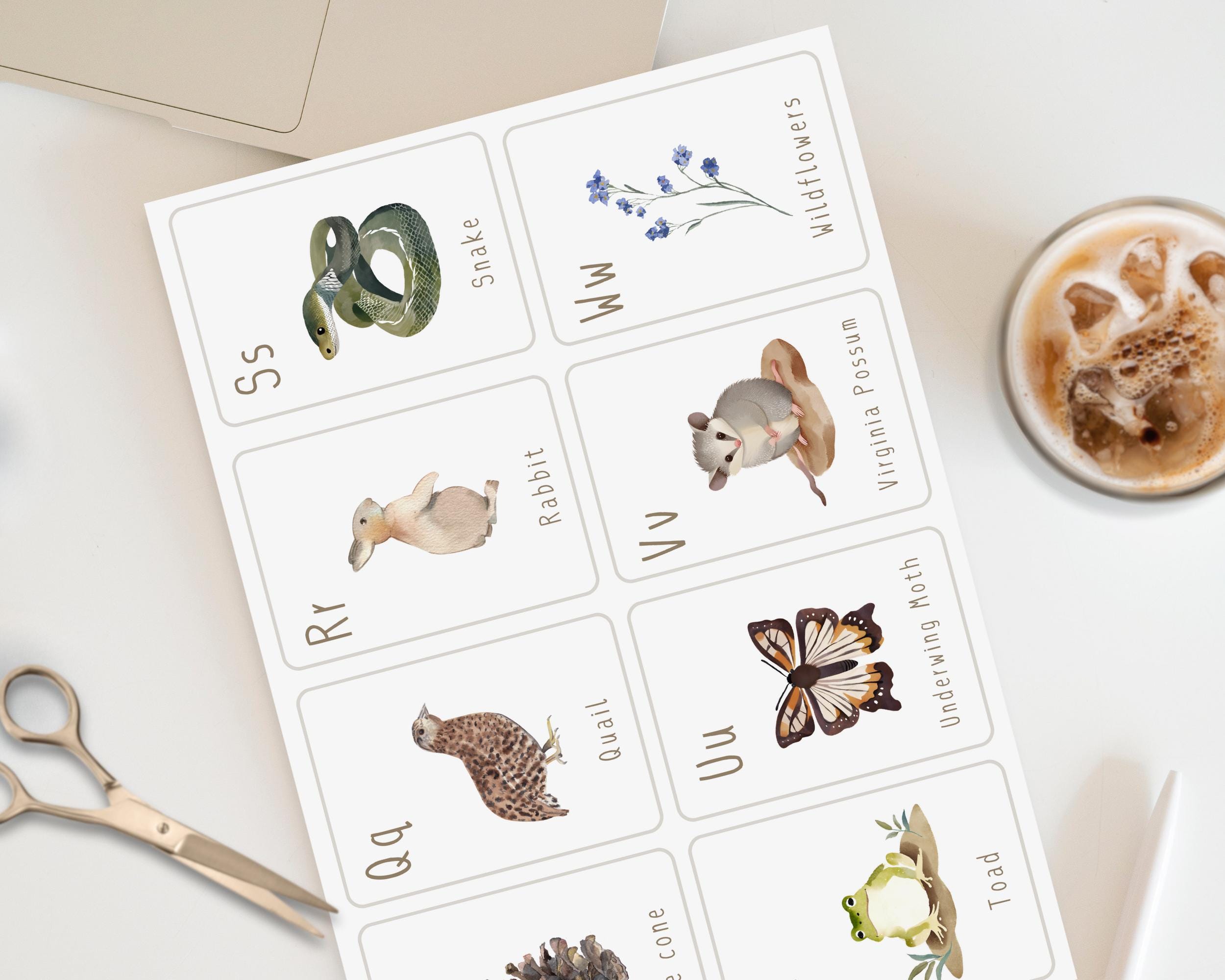 Woodland Alphabet Flash Cards – Printable ABC Cards With Forest ...