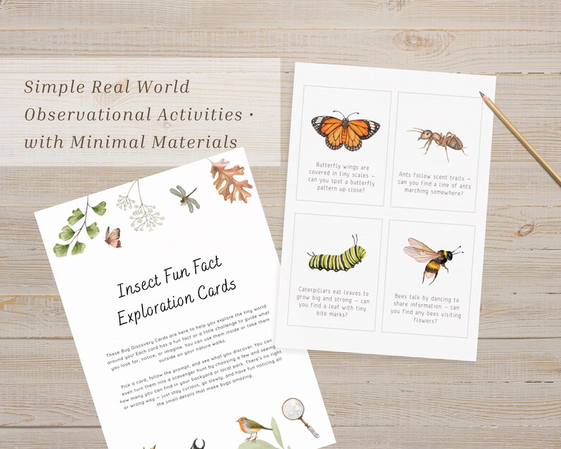 Bug & Insect Study Unit for Kids Ages 5–8 | Printable Learning Workbook ...