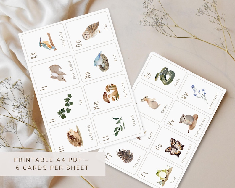 Woodland Alphabet Flash Cards – Printable ABC Cards With Forest ...