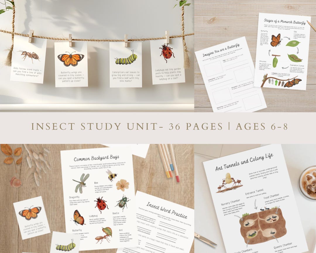 Bug & Insect Study Unit for Kids Ages 5–8 | Printable Learning Workbook ...
