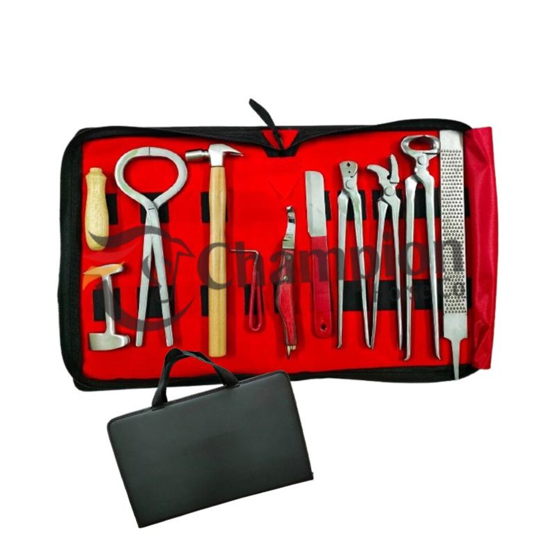 Professional Farrier Hoof Care Tool Kit | 10-piece Equine Horse Shoeing ...