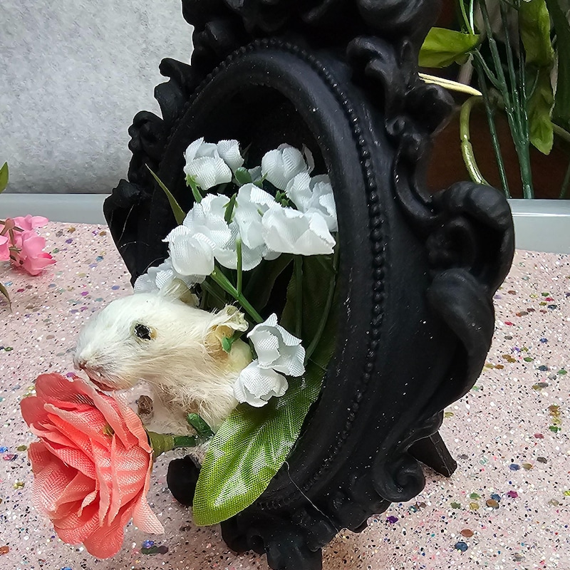 Whimsical Mouse Taxadermy - Etsy