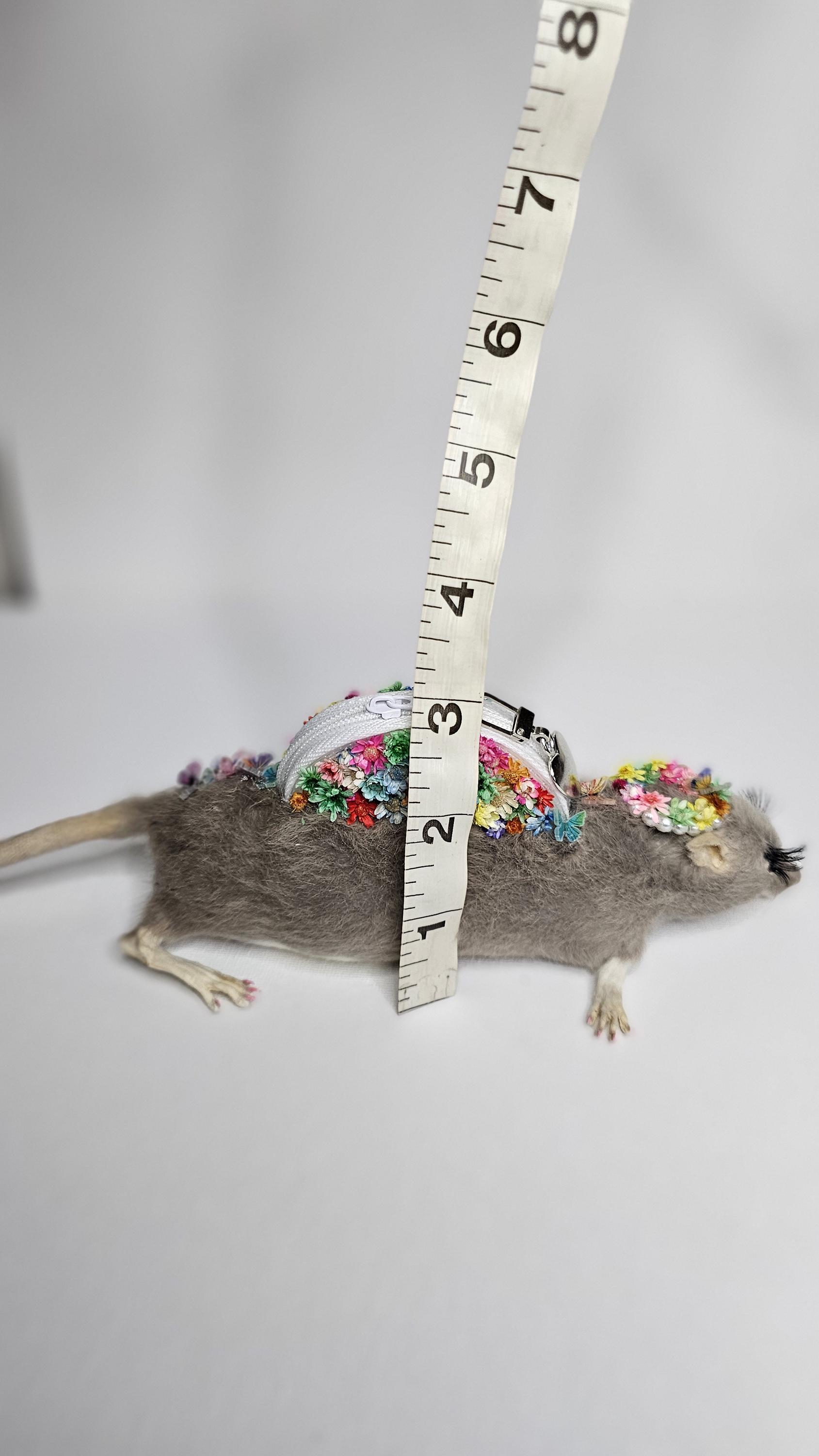 READY2SHIP Rat Purse Flora the Field Rat Taxidermy/ Flower Garden Coin ...