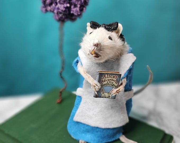 Alice in Wonderland Taxidermy Mouse. Gothic Curio. Oddities Decor. Mad ...