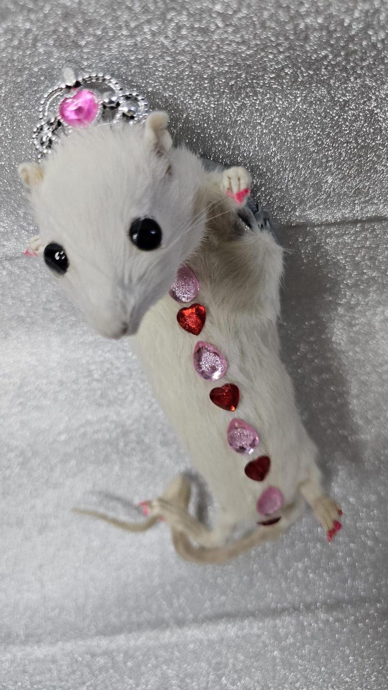 Penny Lafur Taxidermy Rat Coin Purse Campy Gothic Glittercore Pouch ...