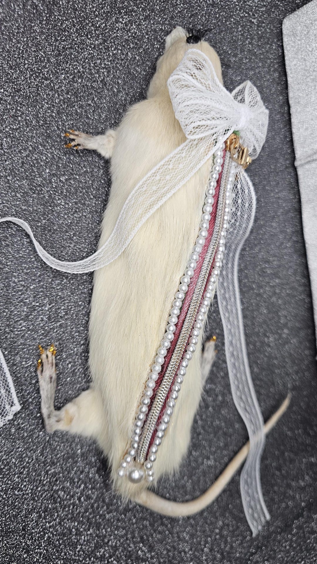 Large Taxidermy Rat Pencil Case Makeup Bag Creepy Cute Gothic Accessory ...