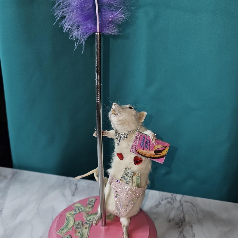 Taxidermy Rat - Etsy
