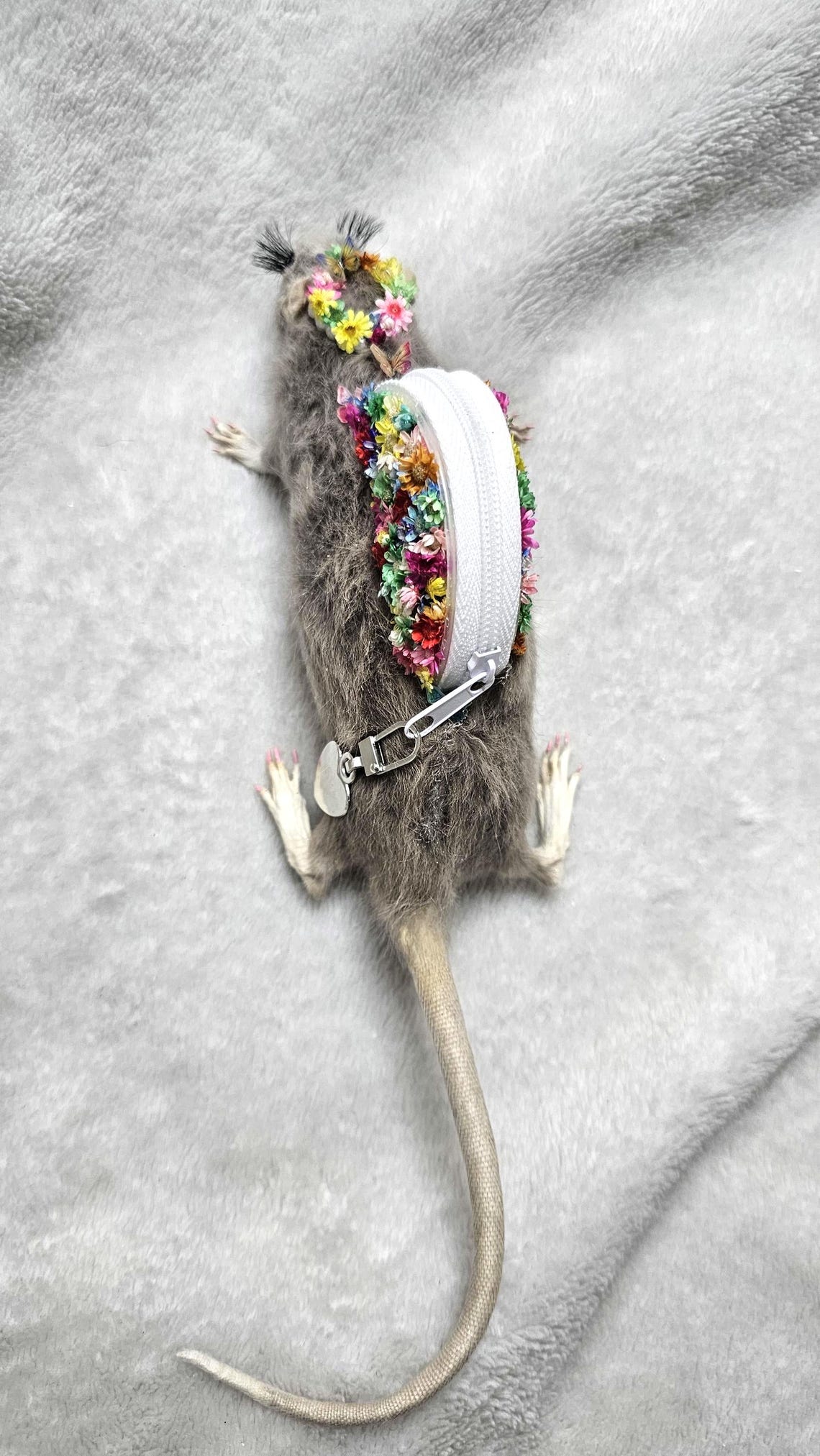 READY2SHIP Rat Purse Flora the Field Rat Taxidermy/ Flower Garden Coin ...