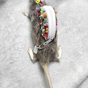 READY2SHIP Rat Purse Flora the Field Rat Taxidermy/ Flower Garden Coin ...