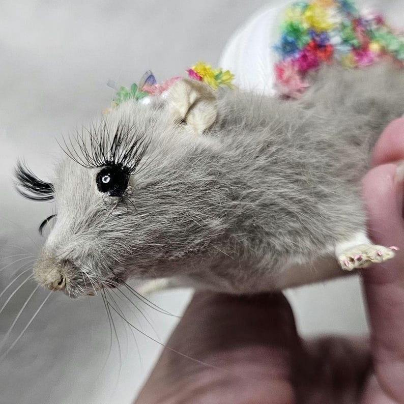 READY2SHIP Rat Purse Flora the Field Rat Taxidermy/ Flower Garden Coin ...