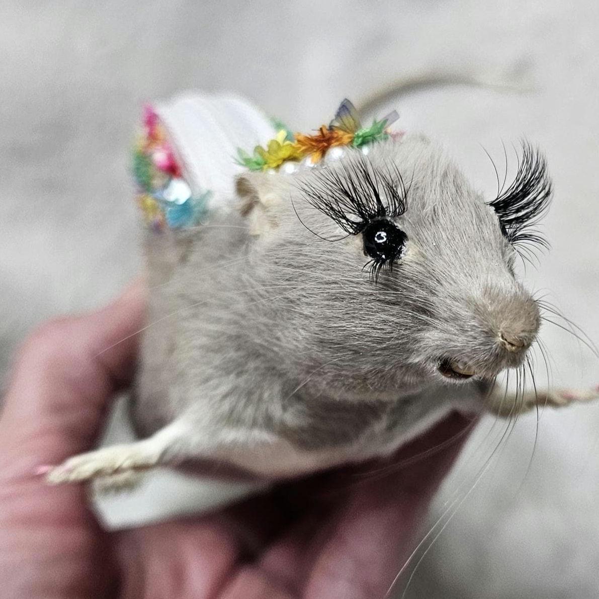 READY2SHIP Rat Purse Flora the Field Rat Taxidermy/ Flower Garden Coin ...