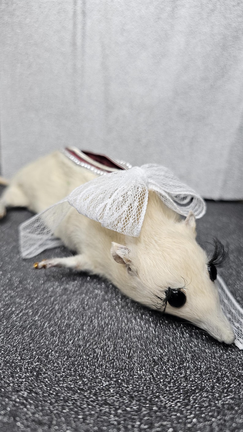 Large Taxidermy Rat Pencil Case Makeup Bag Creepy Cute Gothic Accessory ...