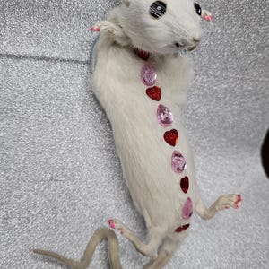 Penny Lafur Taxidermy Rat Coin Purse Campy Gothic Glittercore Pouch ...